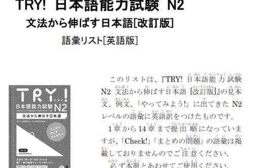 TRY N2 Vocabulary PDF