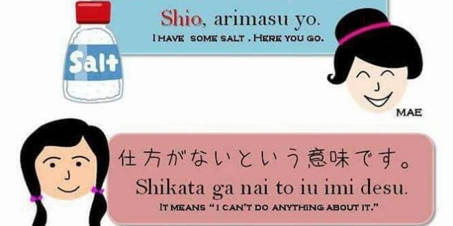 Useful Japanese Conversation